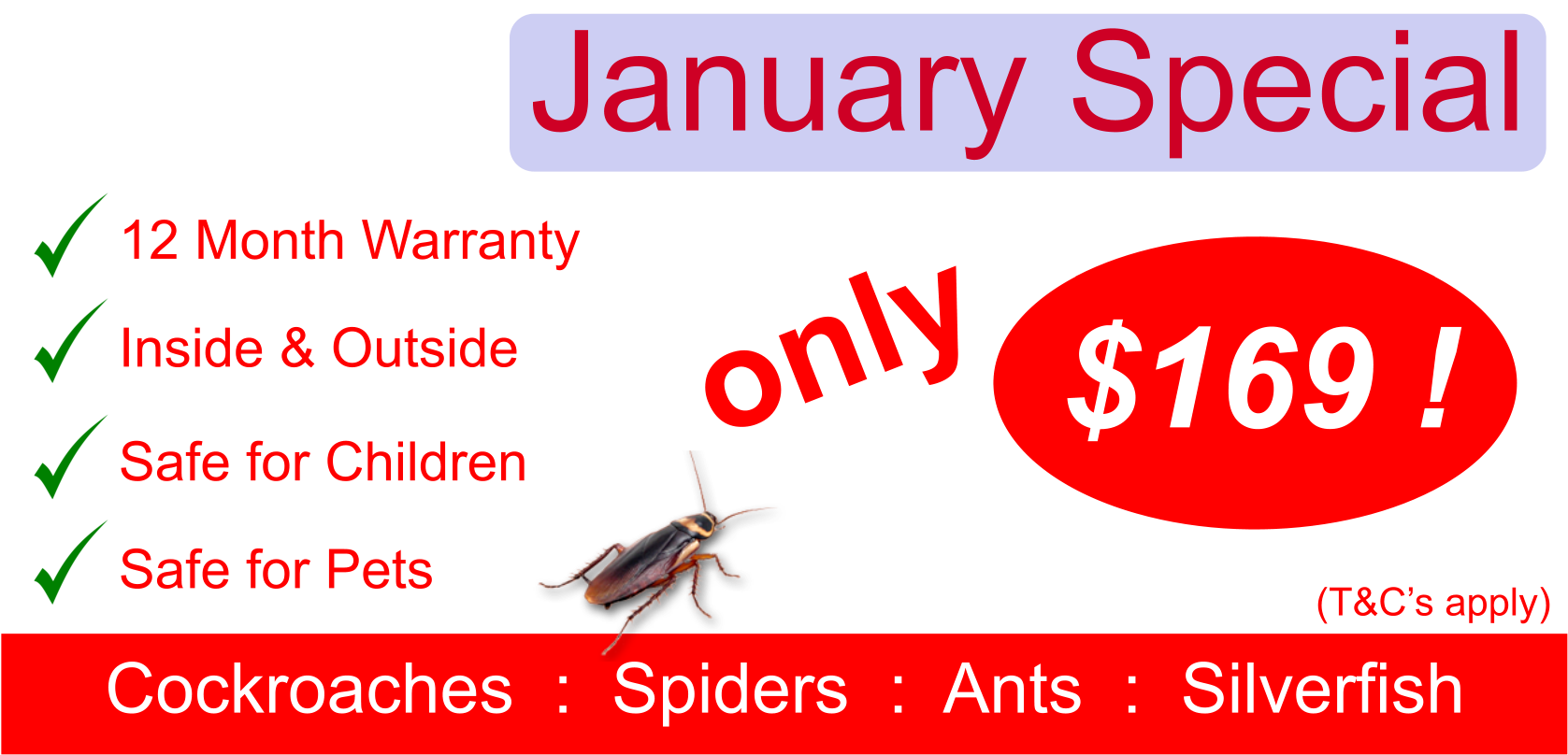 Swarm Pest Control Brisbane | Residential and Commercial Pest Control