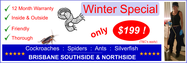 Pest Control Brisbane | North and South Side - Swarm Pest Control