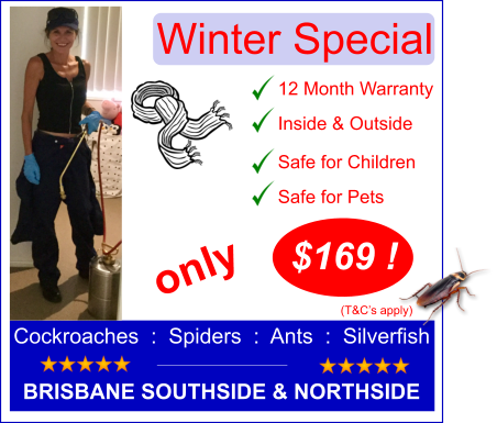Pest Control Brisbane | North and South Side - Swarm Pest Control
