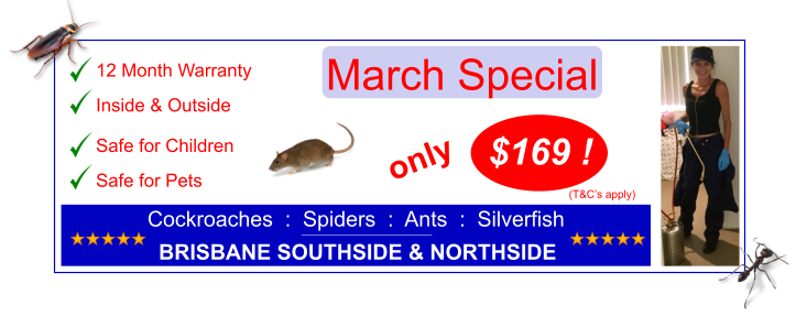 Swarm Pest Control Brisbane | Residential and Commercial Pest Control