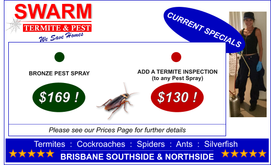 Pest Control Brisbane | North and South Side - Swarm Pest Control